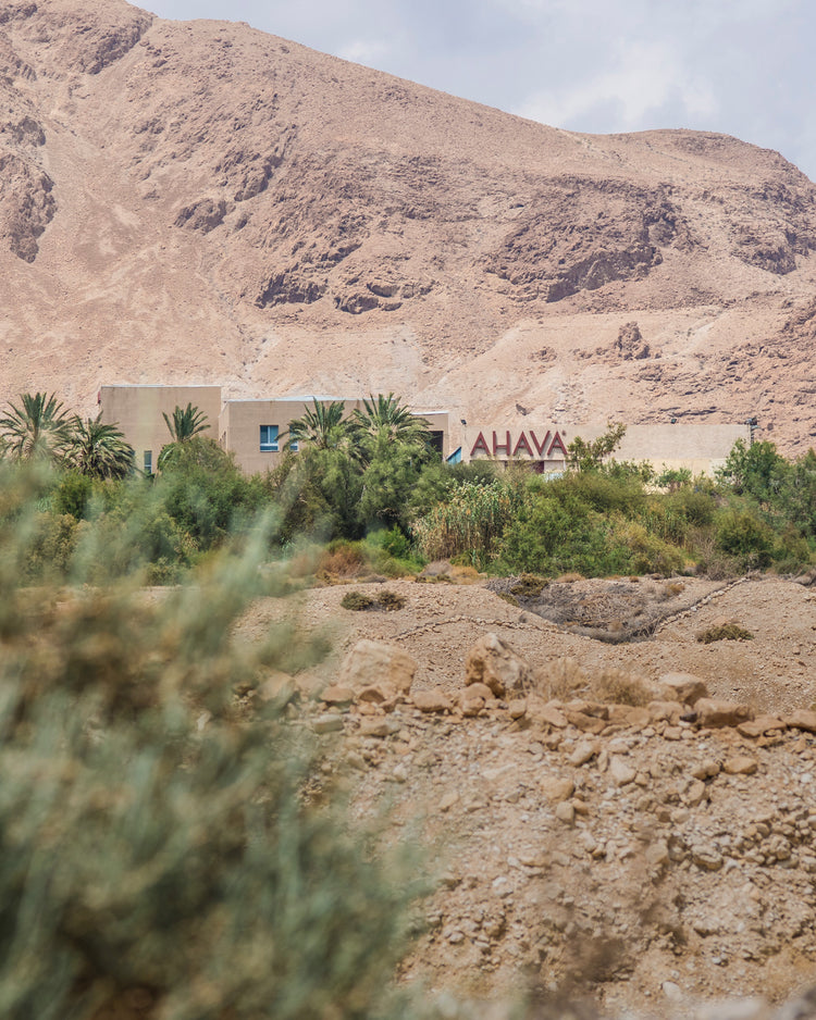 About Us – AHAVA Israel